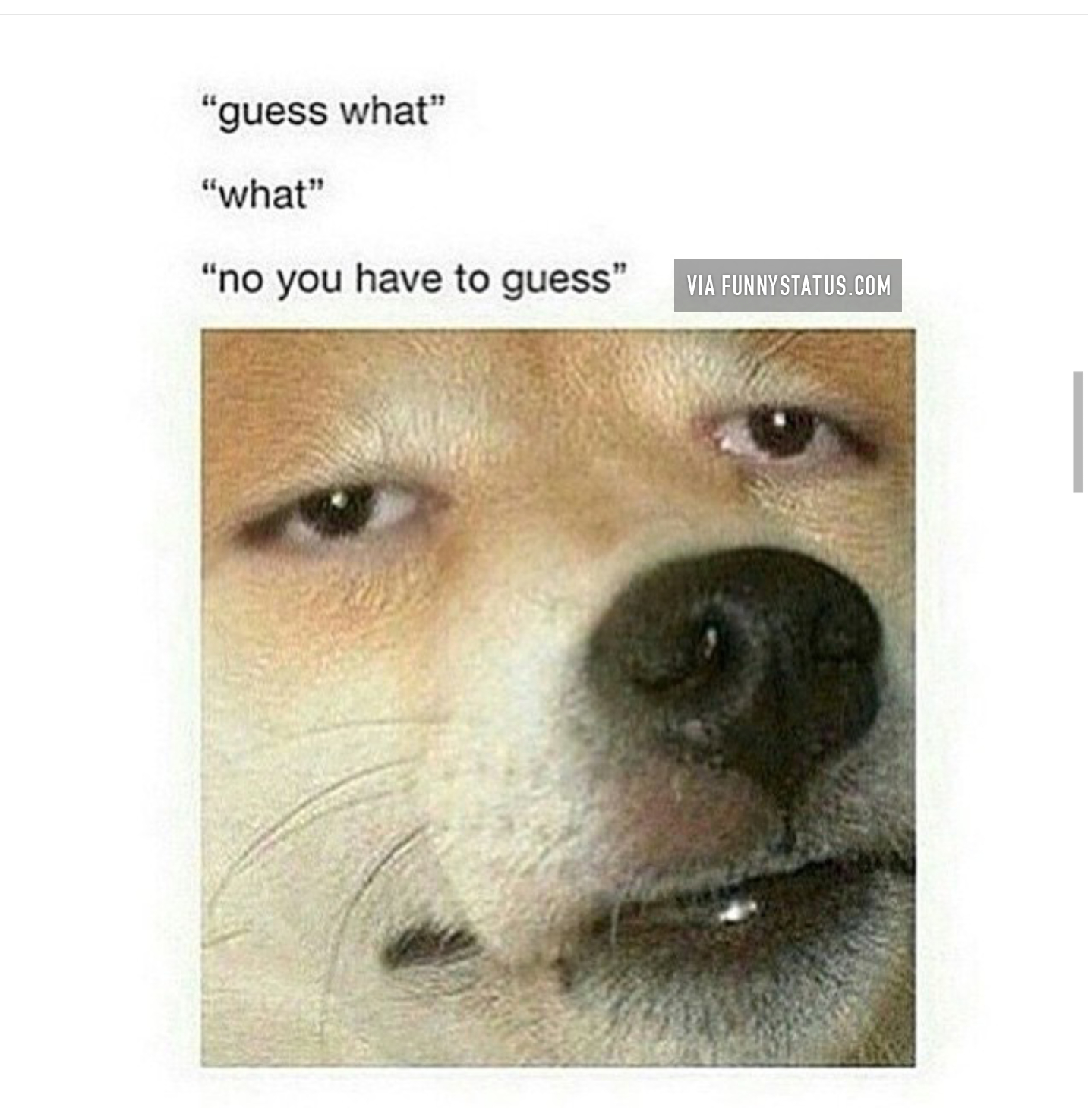 Guess What - Funny Status