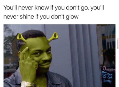 22 Shrek Memes for When The Years Don't Stop Coming - Funny Status