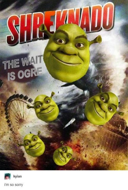 22 Shrek Memes for When The Years Don't Stop Coming - Funny Status