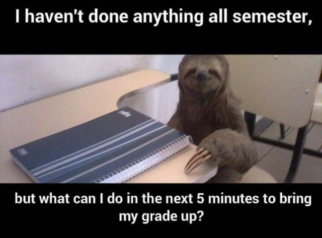 40 Teaching Memes That Will Make Any Teacher Laugh...Then Cry